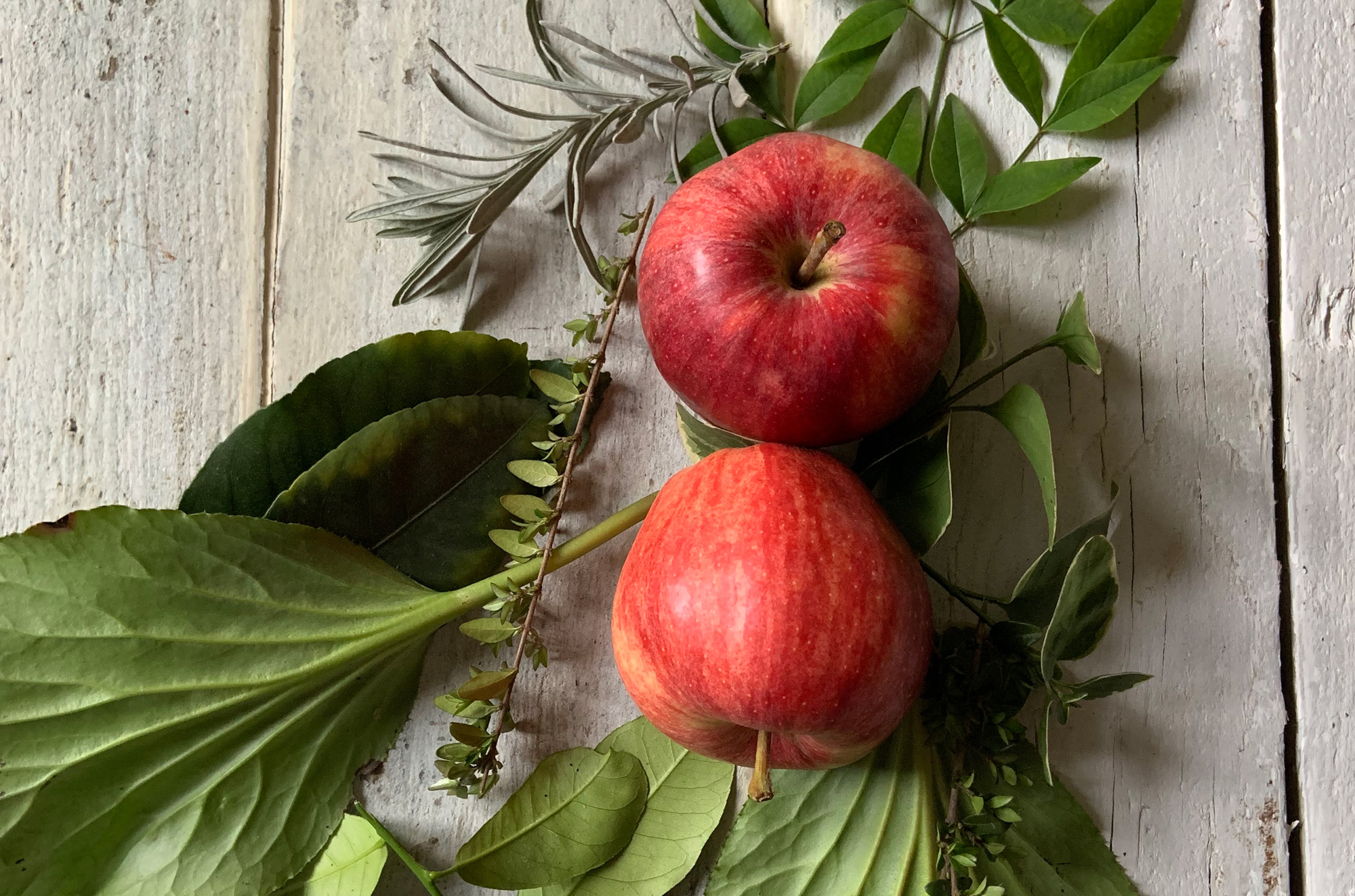 Style of Food #0 / Mele - Sandra Longinotti | giornalista blogger ...